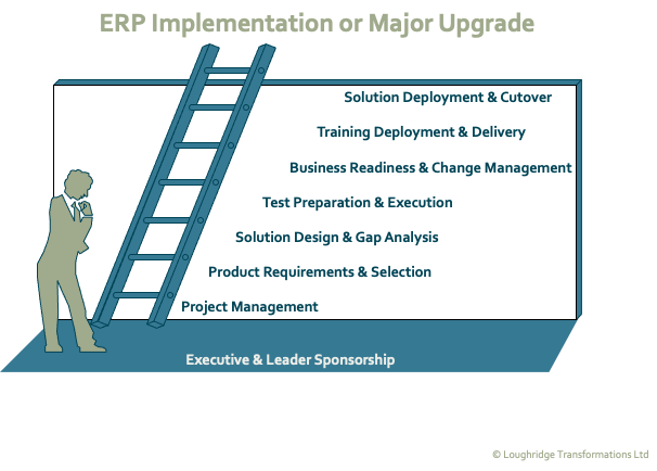 Upgrading your ERP? Here's How to Get It Right. Follow our Ladder!